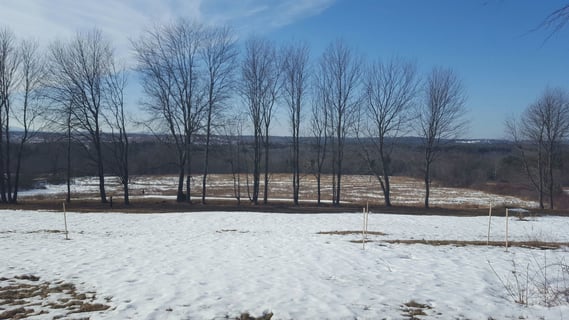 Stressing over your first new home build? | Gilmore Building Co.